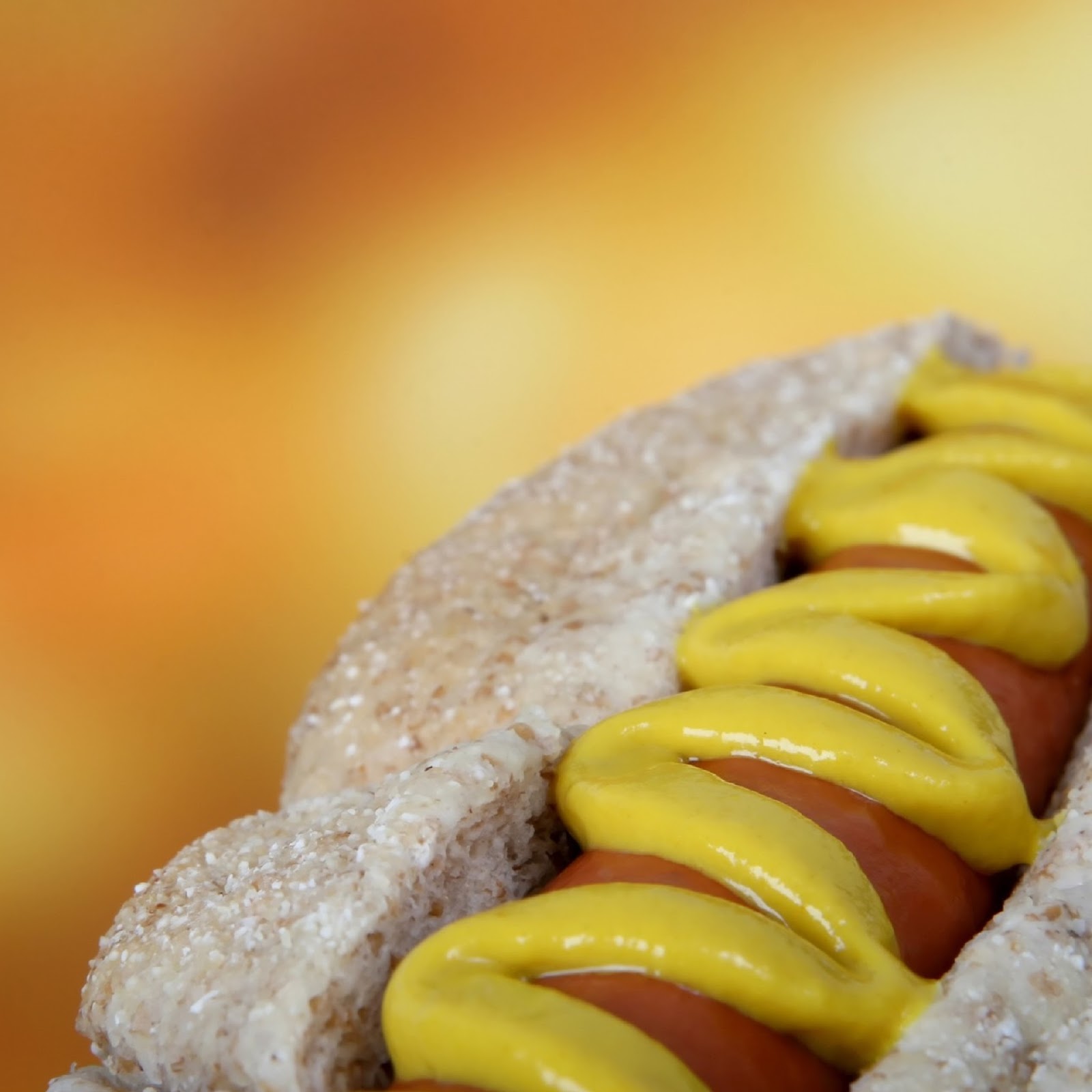 What's Cookin' Today on CRN: THE AMAZING WORLD OF BEES, MLB FANS ...