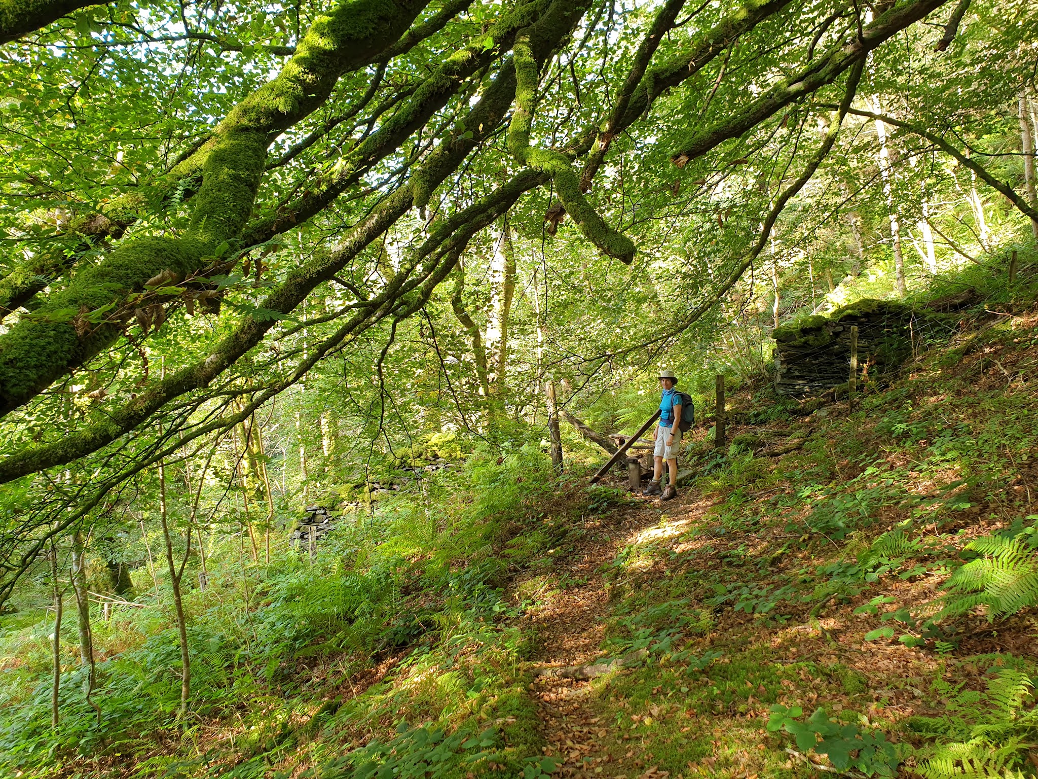 Postcard from Timperley: Tuesday 21 September 2021 - Ceunant Cynfal and ...