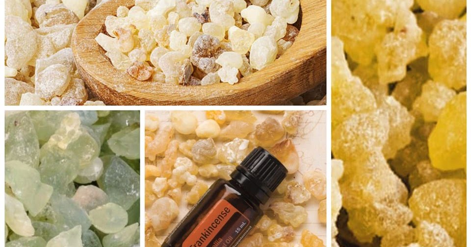 "Cautand binele altora, il gasim pe al nostru." Platon: TAMAIA ...