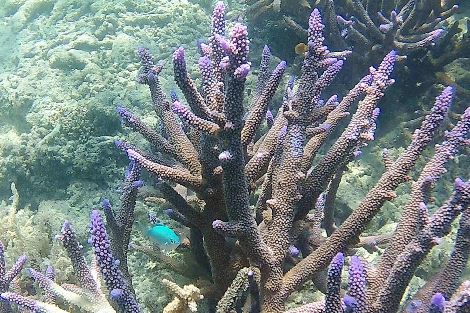 Dreamtime Sail: Batt Reef - We're all alone on the outer Great Barrier Reef