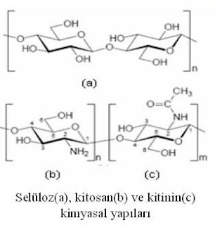 Kitin ve Kitosan Lifleri- 1.Bölüm