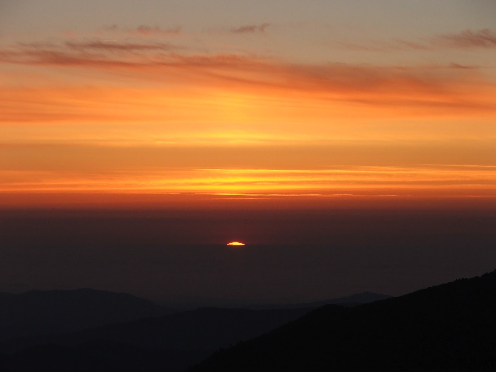 POLLINOFANTASTICO: Tra un'alba e un tramonto