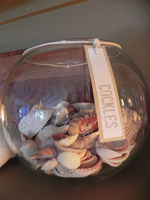 My Five Men: Sea Shell Display