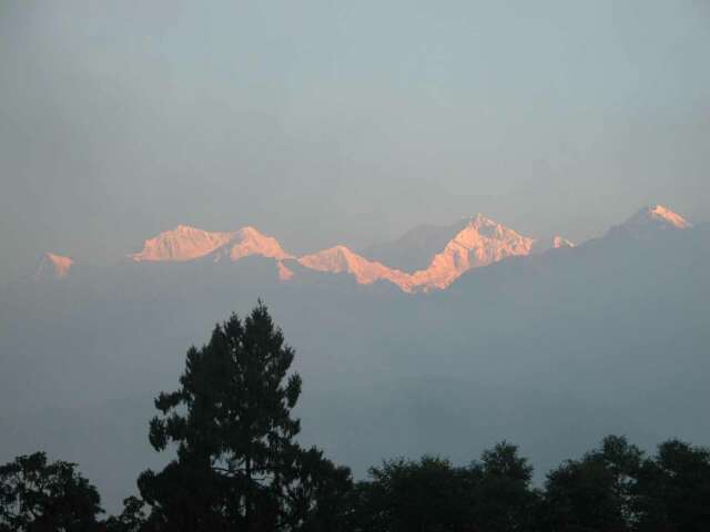 Uncategorized | Dooars Ecoviillege