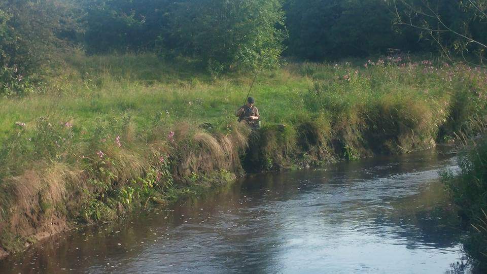 Evening on the yarrow