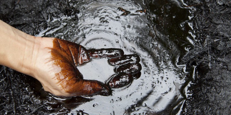 CARACTERÍSTICAS DEL CRUDO