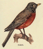 Robin's Nest Treasures