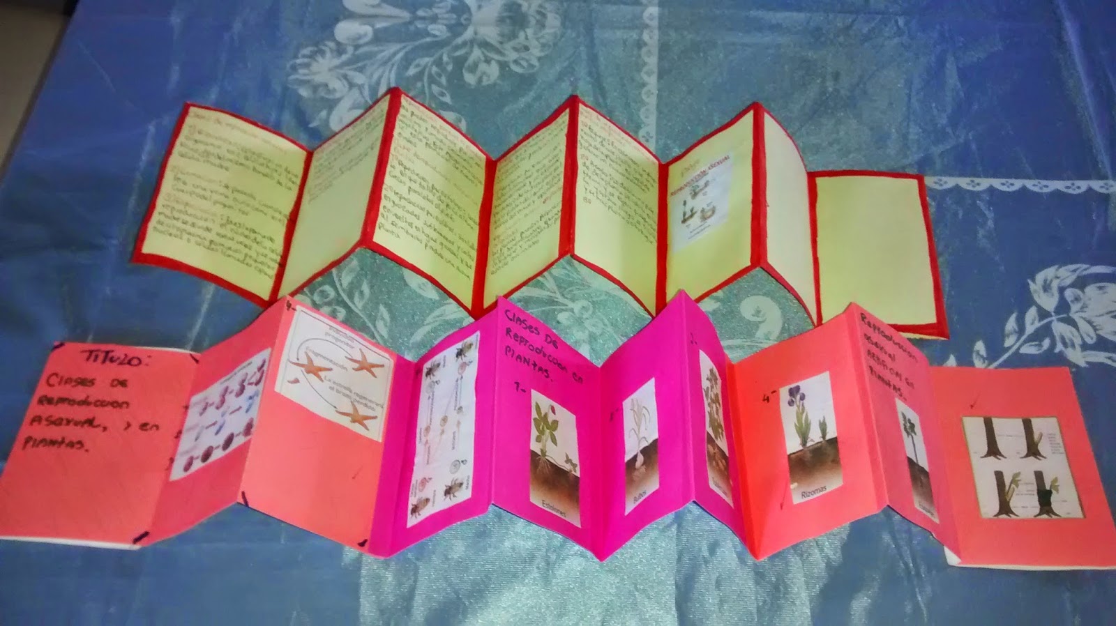 Expresiones Artísticas Estudiantes IED - San Isidro Sur Oriental ...