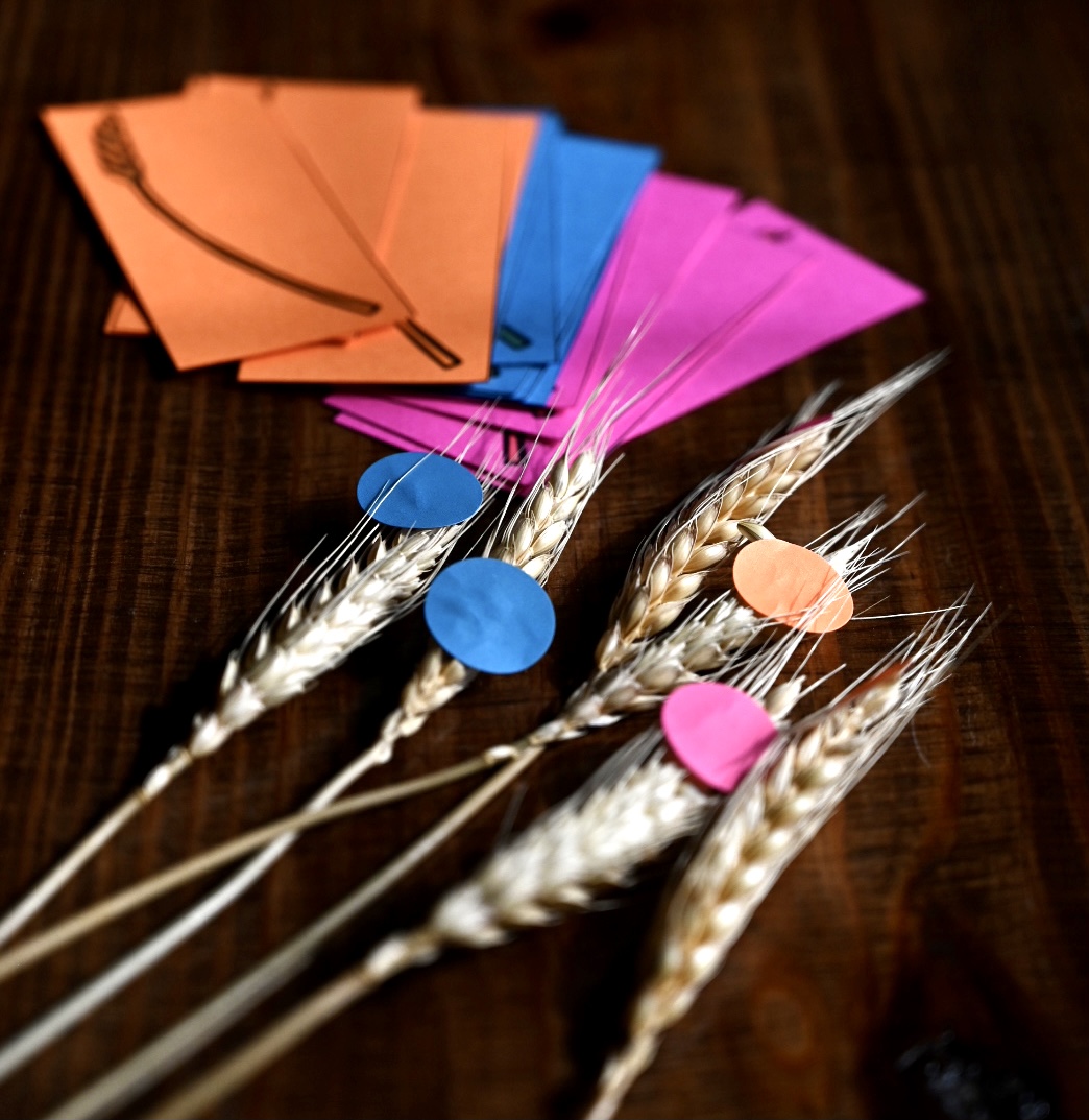 Gleaning the Fields: preschool Ruth Bible Games - The First Grade Roundup