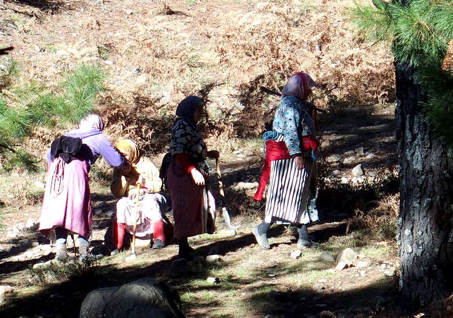 SENDERISMO EN EL RIF/RANDONNÉES DANS LE RIF: JEBEL TISIRENE (JBEL ...