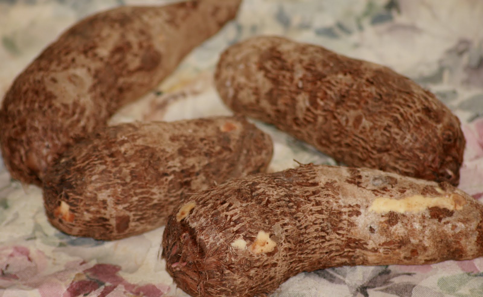 Third Kitchen: Chembu puzhungiyathu(Boiled Malanga)