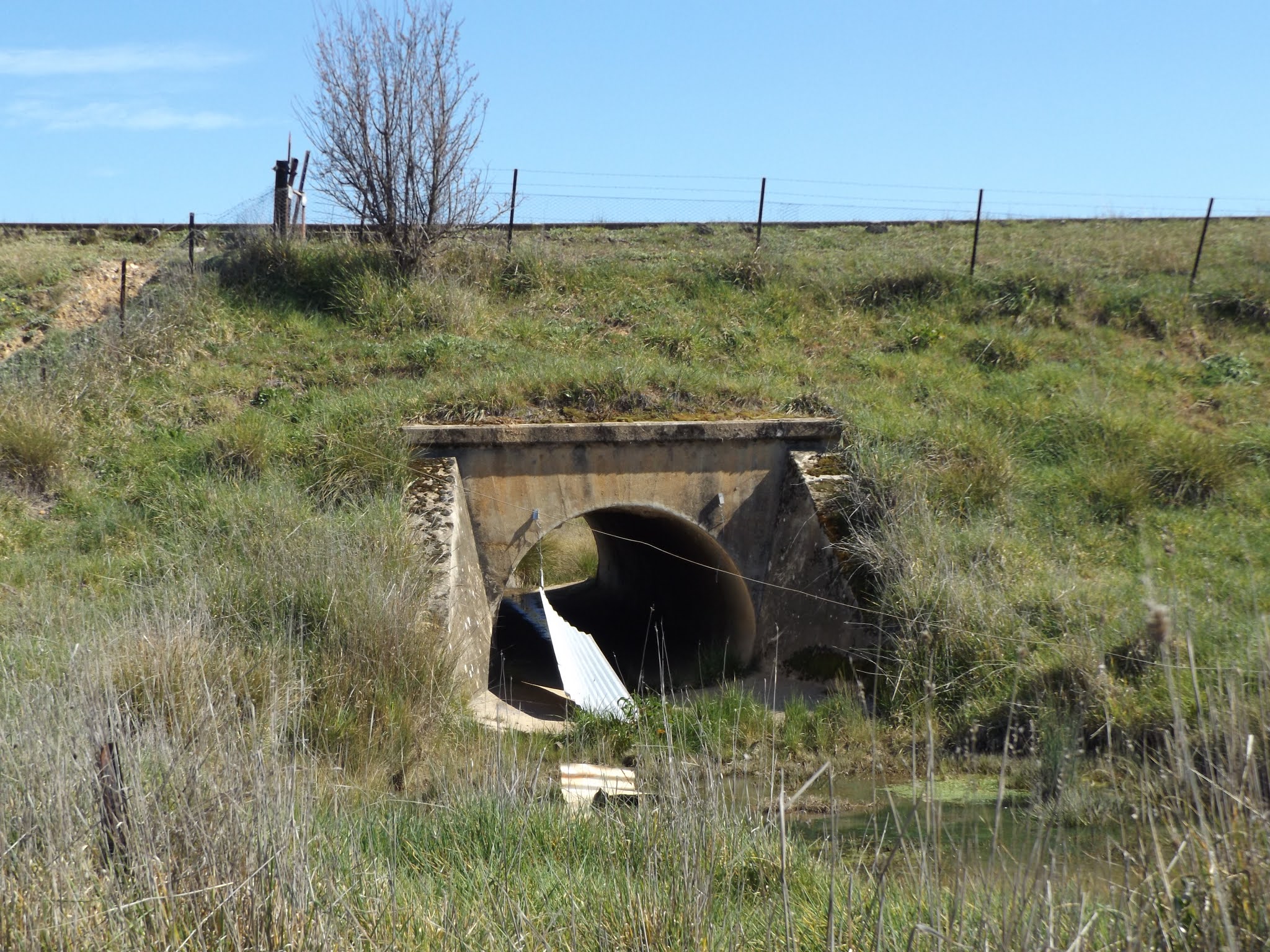 Building Wagga: A visit to Humula