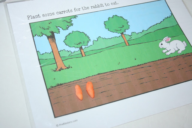 Our Country Road: Montessori Inspired Activities for The Carrot Seed by ...