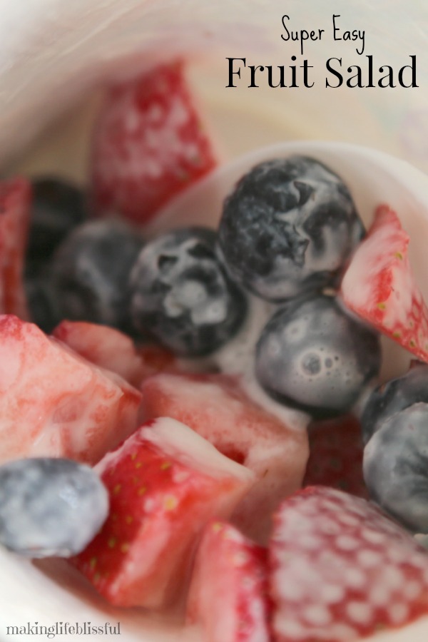 Super Easy Fruit Dip | Making Life Blissful