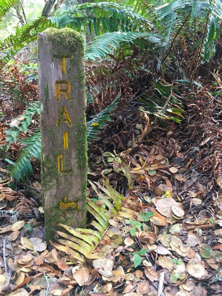 Trails (and Trials): 2017