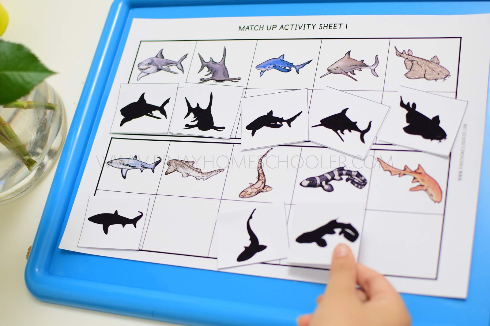 Sharks Preschool Mini Unit | The Pinay Homeschooler