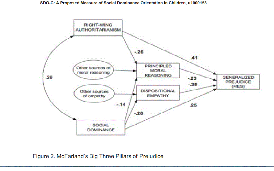 HoltesThoughts: Understanding Social Dominance Theory
