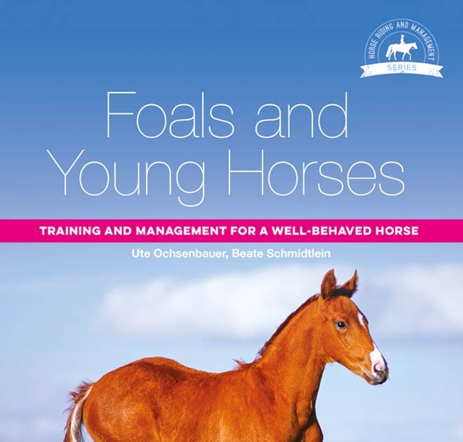 Foals and Young Horses: Training and Management for a Well-behaved Horse