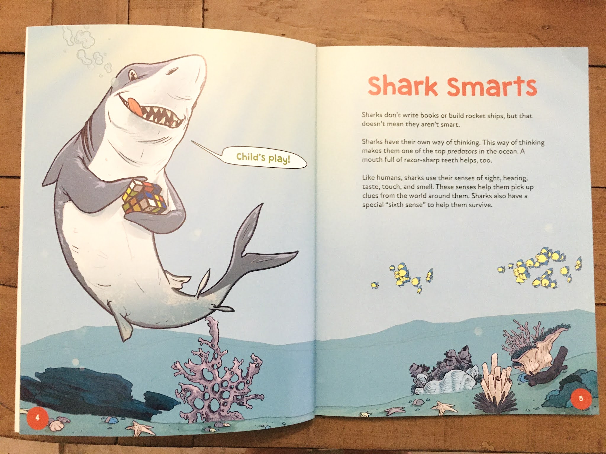 My Teacher Sleeps in School: Tales of a 3rd & 4th Grade Teachaholic