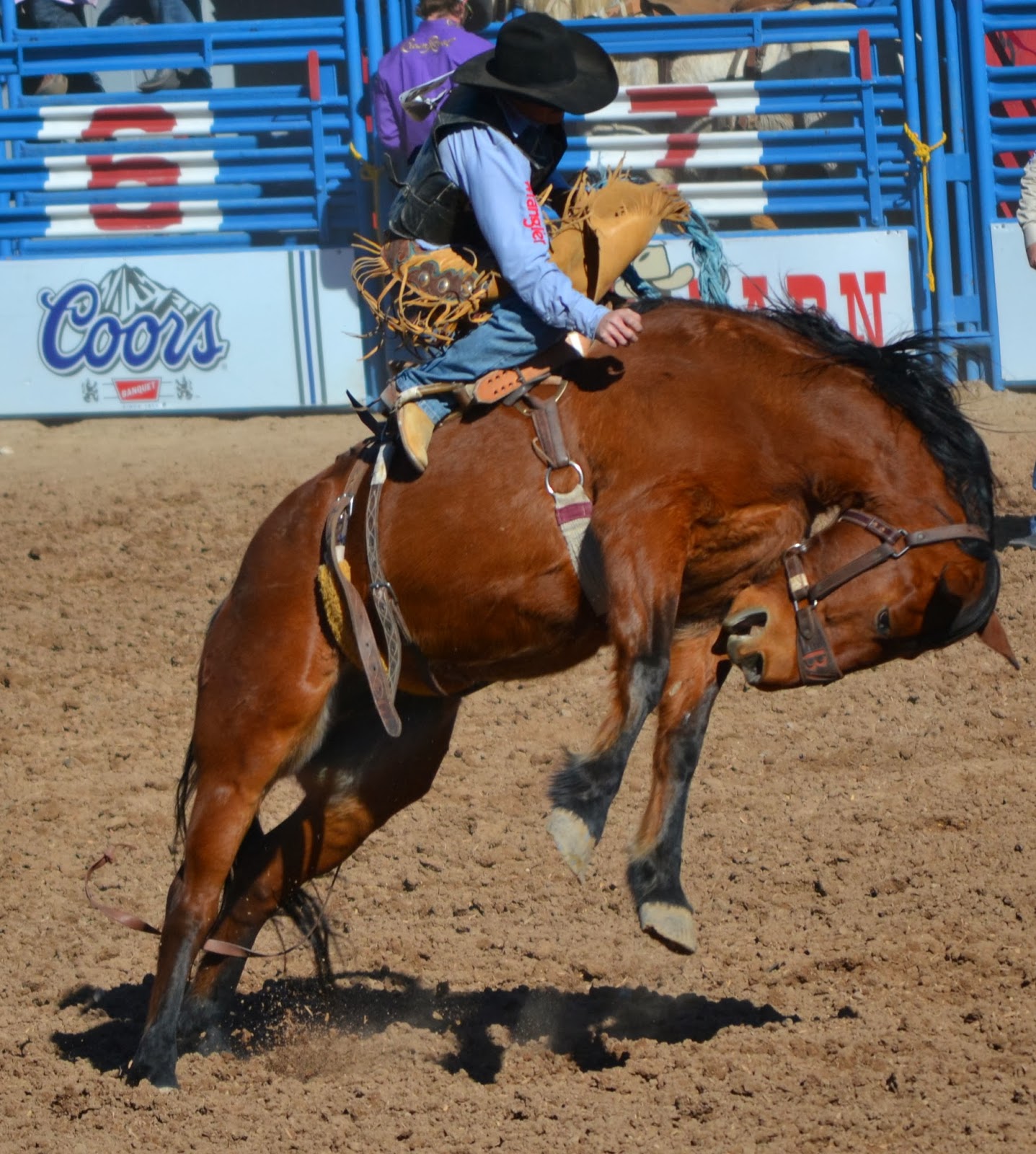 Run 'n Stitch: Tucson Rodeo