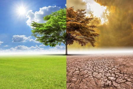 The Current Challenges and Trends in Global Environmental Cooperation