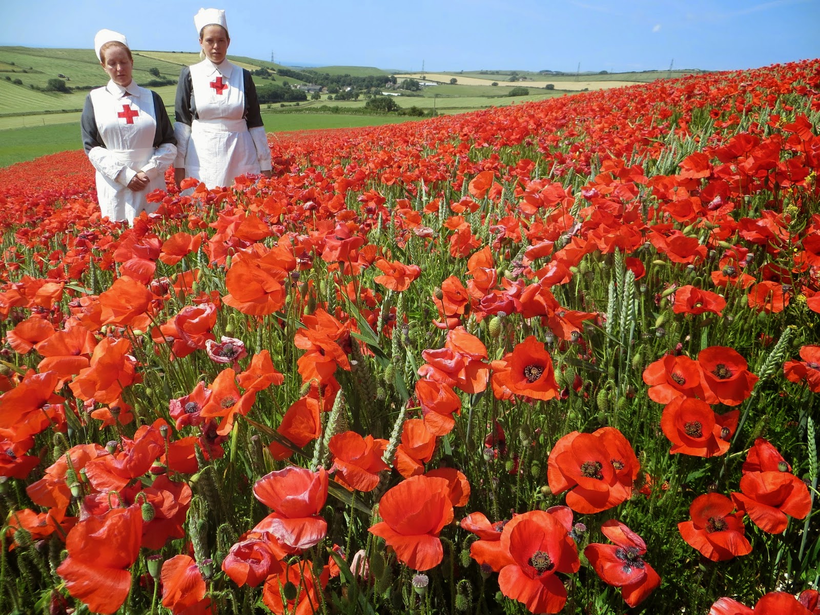 Valise Noire Storytelling Theatre: POPPY FIELDS RESEARCH