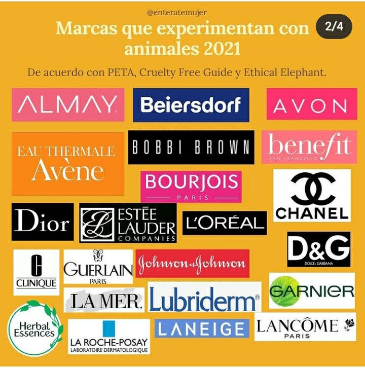 Biblioteca Escolar Luis Lloréns Torres, Juana Díaz: Marcas que ...