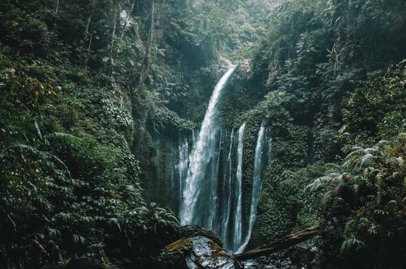 Air Terjun Tiu Kelep Lombok - Fasilitas Wisata, Harga Tiket, dan Rute