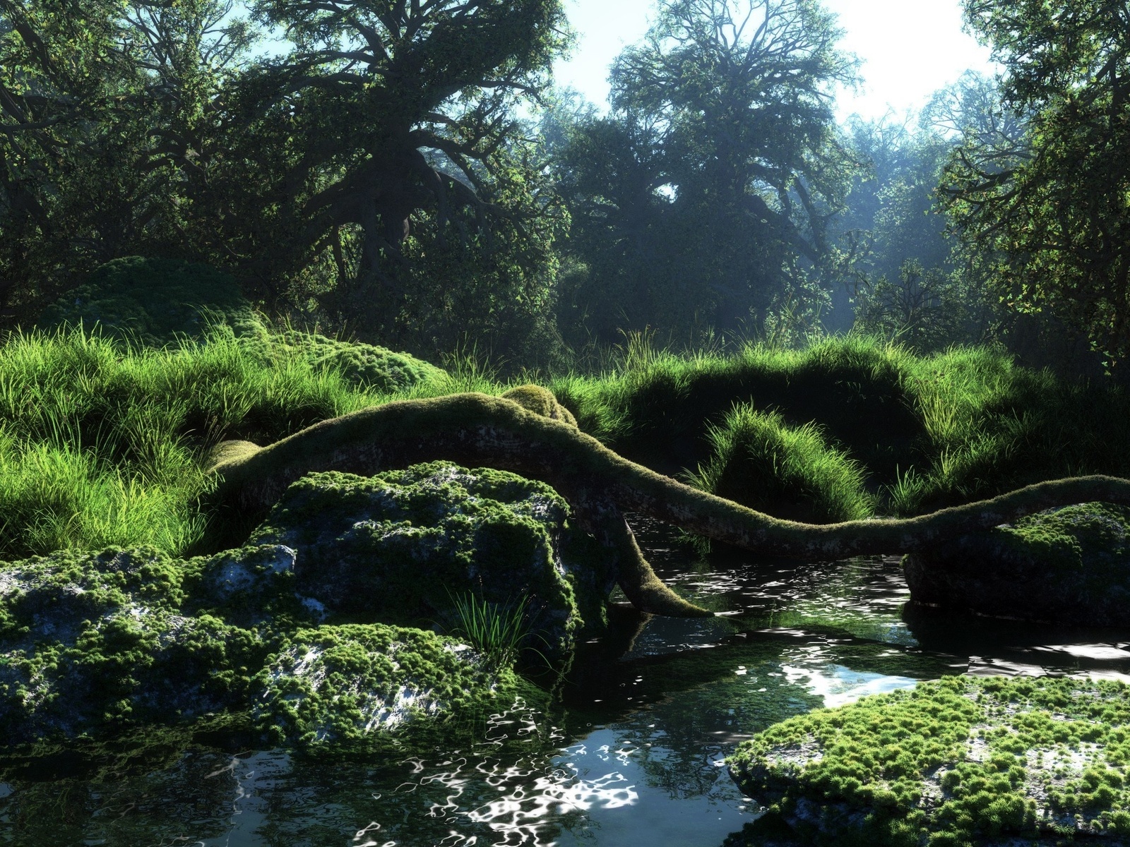 Bosque con rio - Imagui