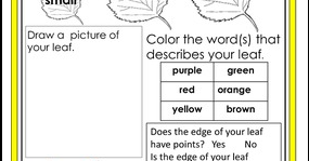 The Best of Teacher Entrepreneurs IV: FREE SCIENCE LESSON - “Fall Leaf ...