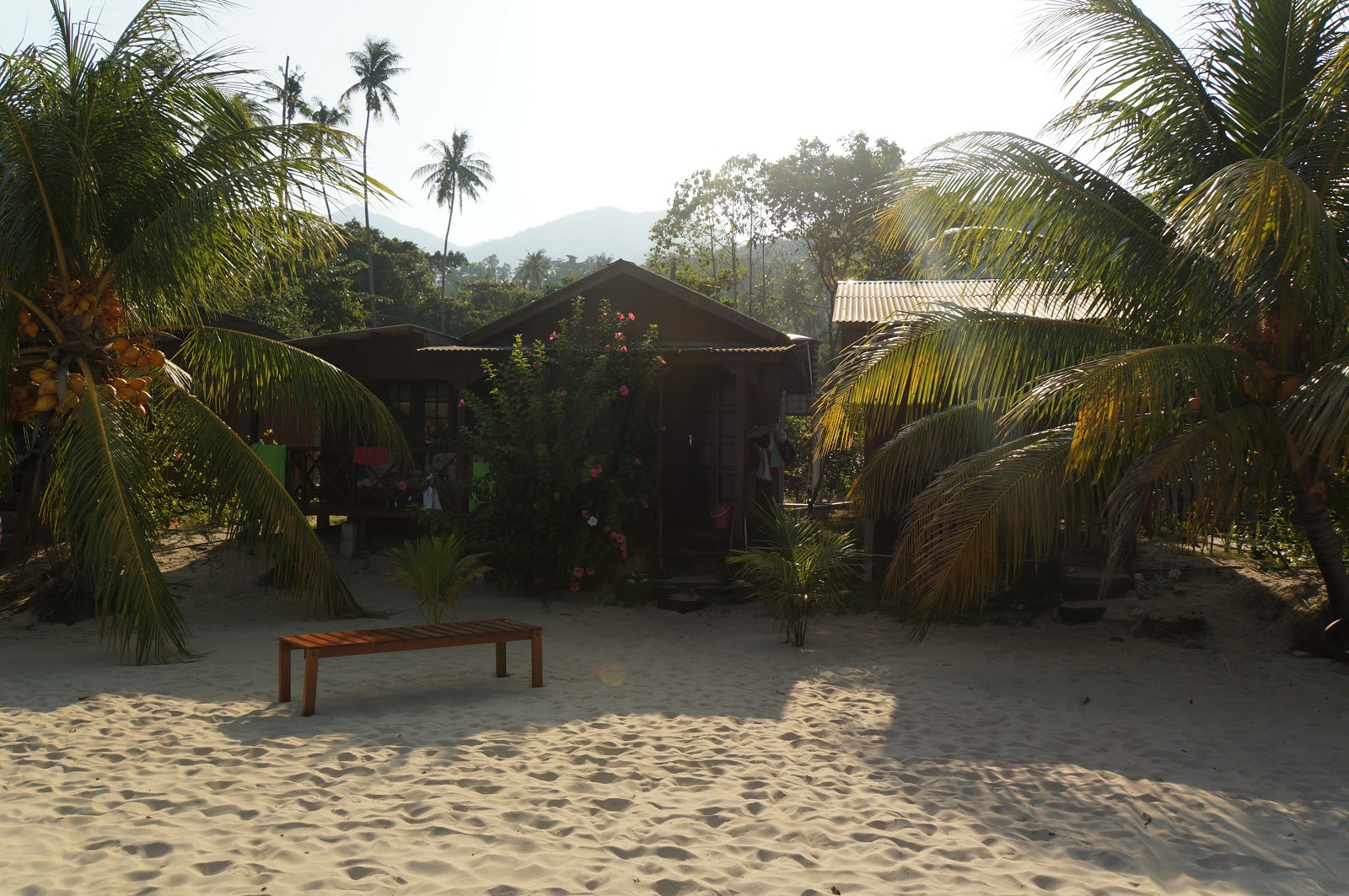 Malaisie - jour 12 : Tioman - Jungle trek vers Juara