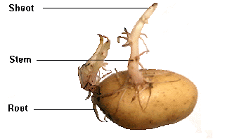 Welcome to Edusphere