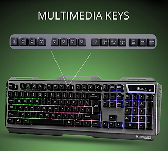 Zebronics Gaming Keyboard - One of the best gaming Accessorie