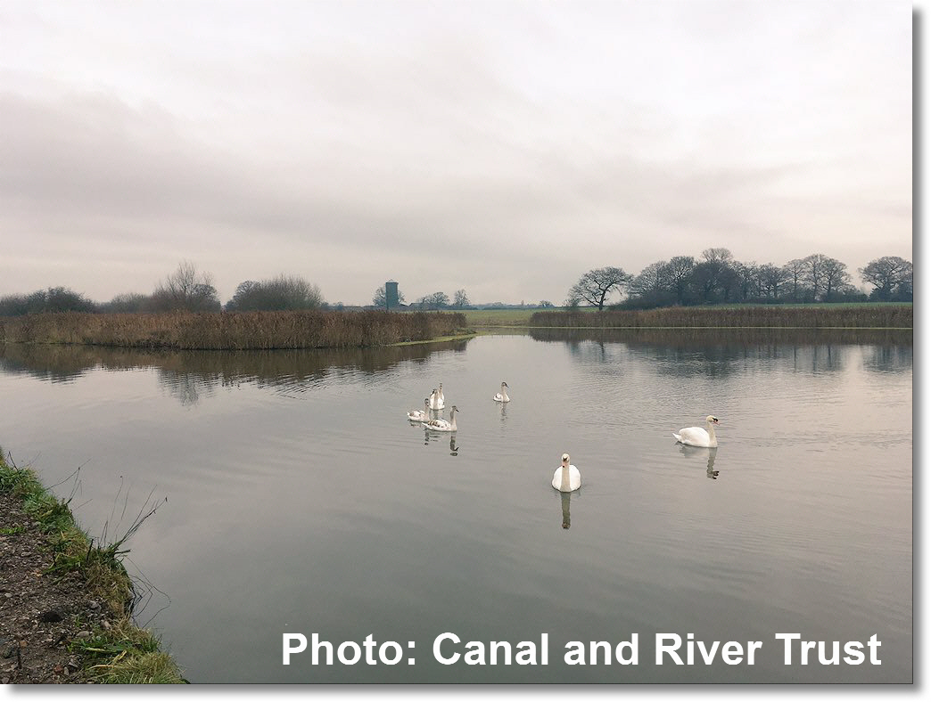 THE MIDDLEWICH DIARY: 50 YEARS ON - THE BERTIE WILKINSON MURDER