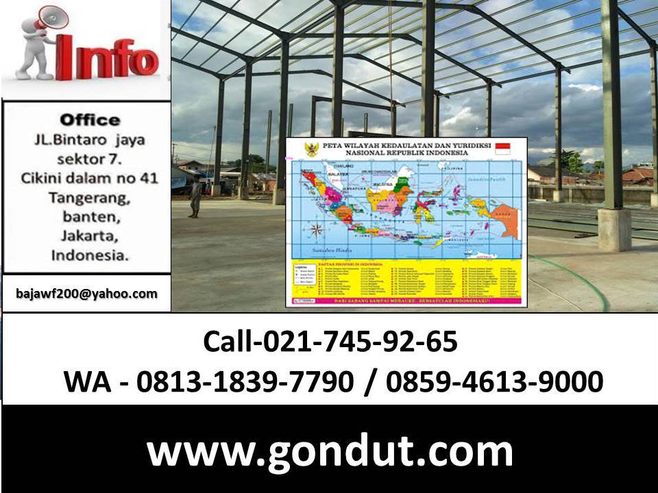 baja wf 600: baja wf 600