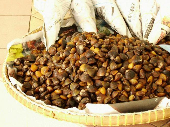 DAPURKU RESEPIKU: ETOK SALAI