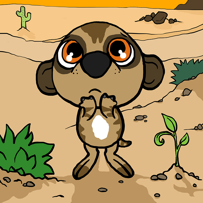 Izzy Bean: Little Meerkat's BIG PANIC! A book about learning new ways ...