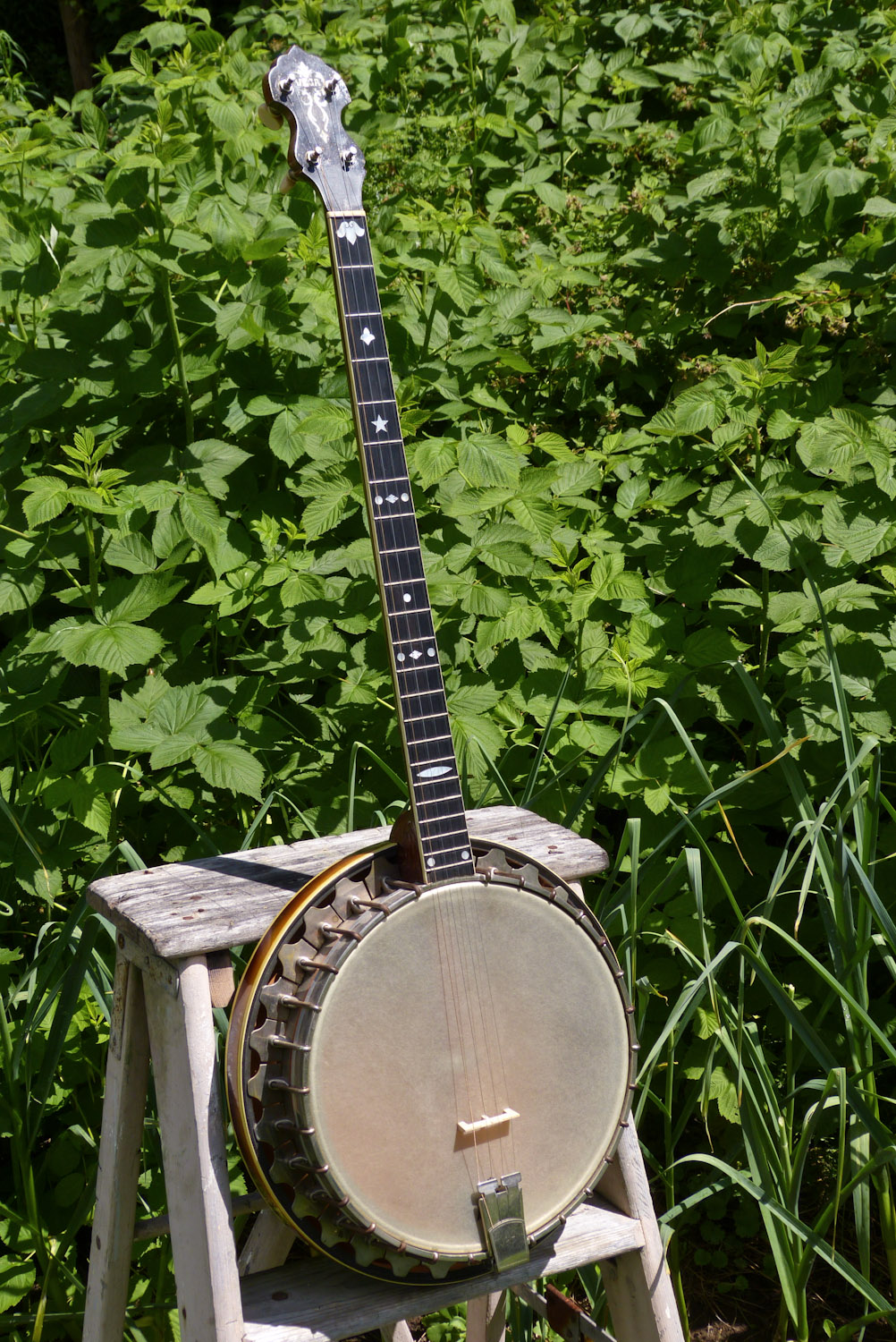 1930 Vega Vegaphone Professional Plectrum Banjo