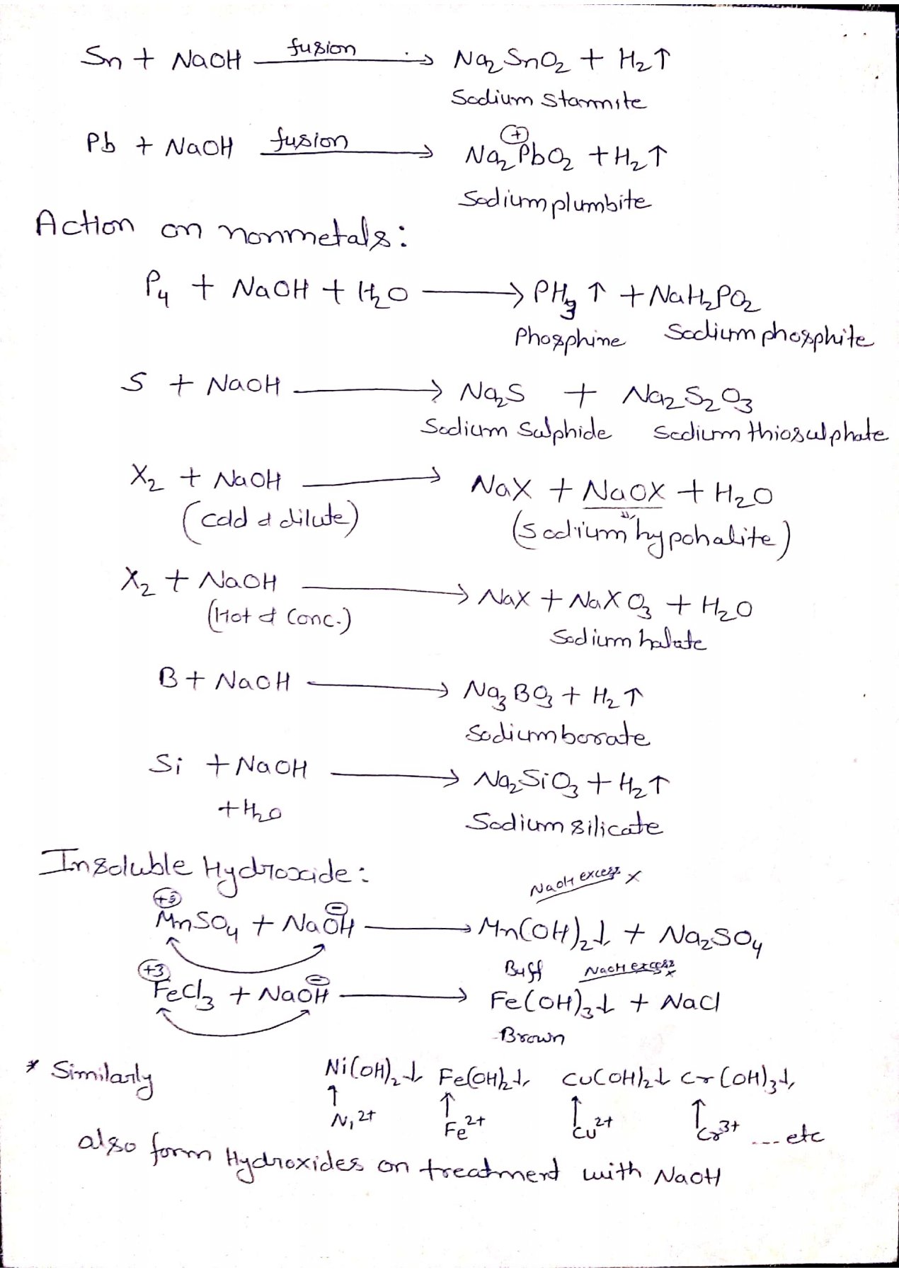 S block notes - Studypur