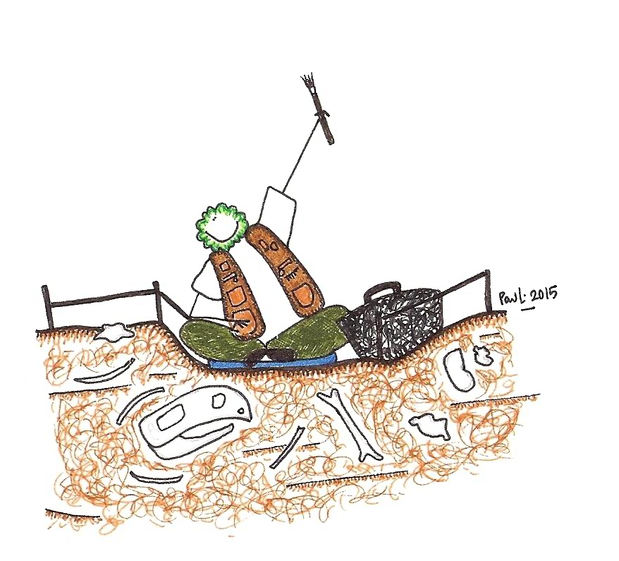 Paleontología y Evolución en la UCM: El fascinante mundo de los ...