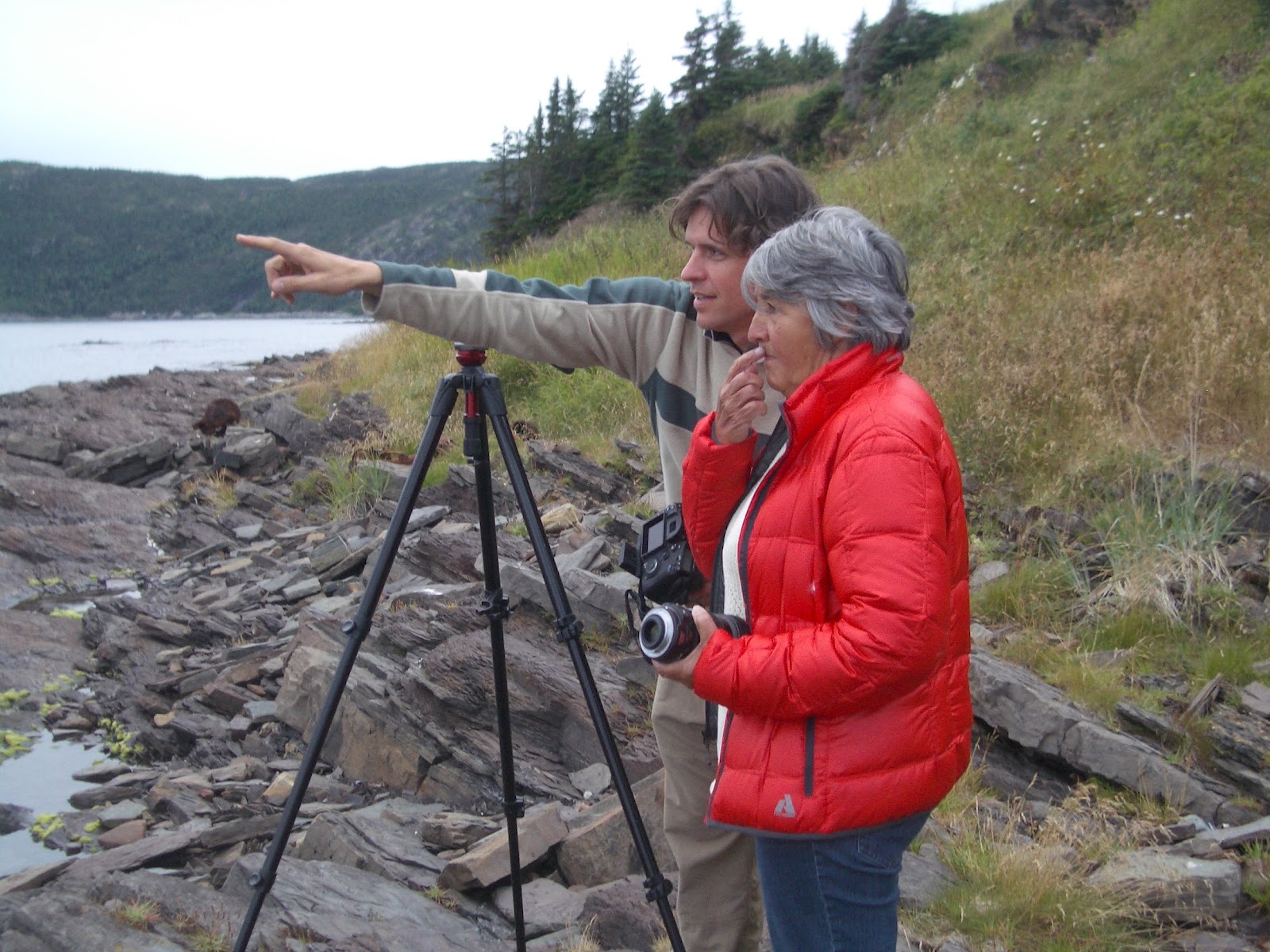 Phantoms of the French Shore: June 2012