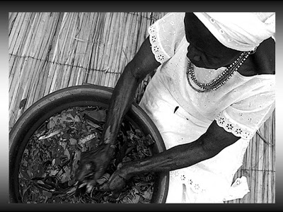 Saraco La Luz De Obbatala: QUE ES UN OMIERO Y SU IMPORTANCIA EN LA ...