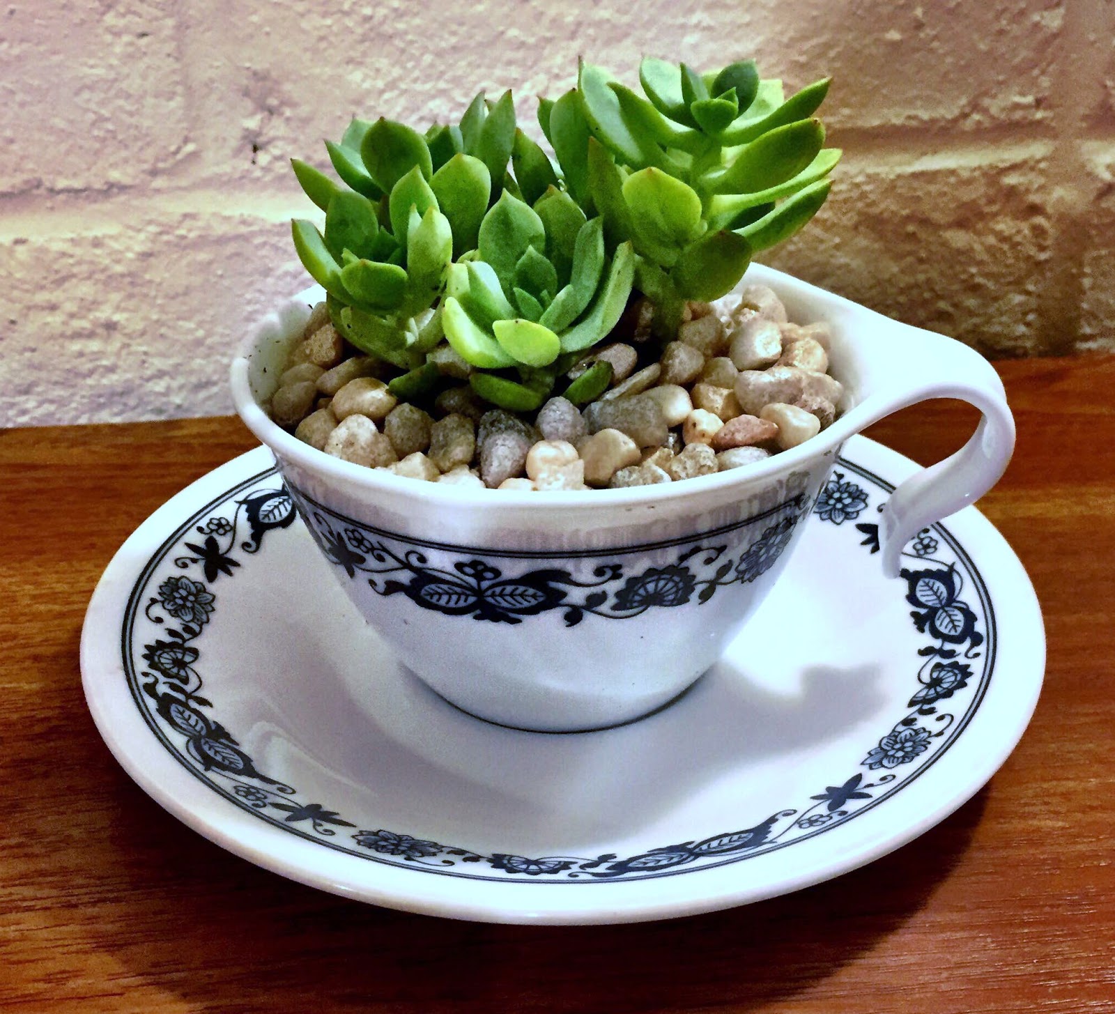 Haverhill Art Market: Tea Cup Planter Workshop - April 30