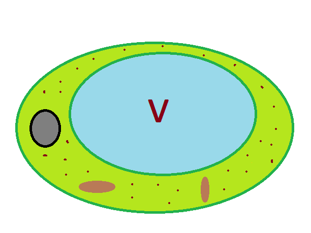 Bonsai in Hoosierland: "HOODAH THUNKITT??"