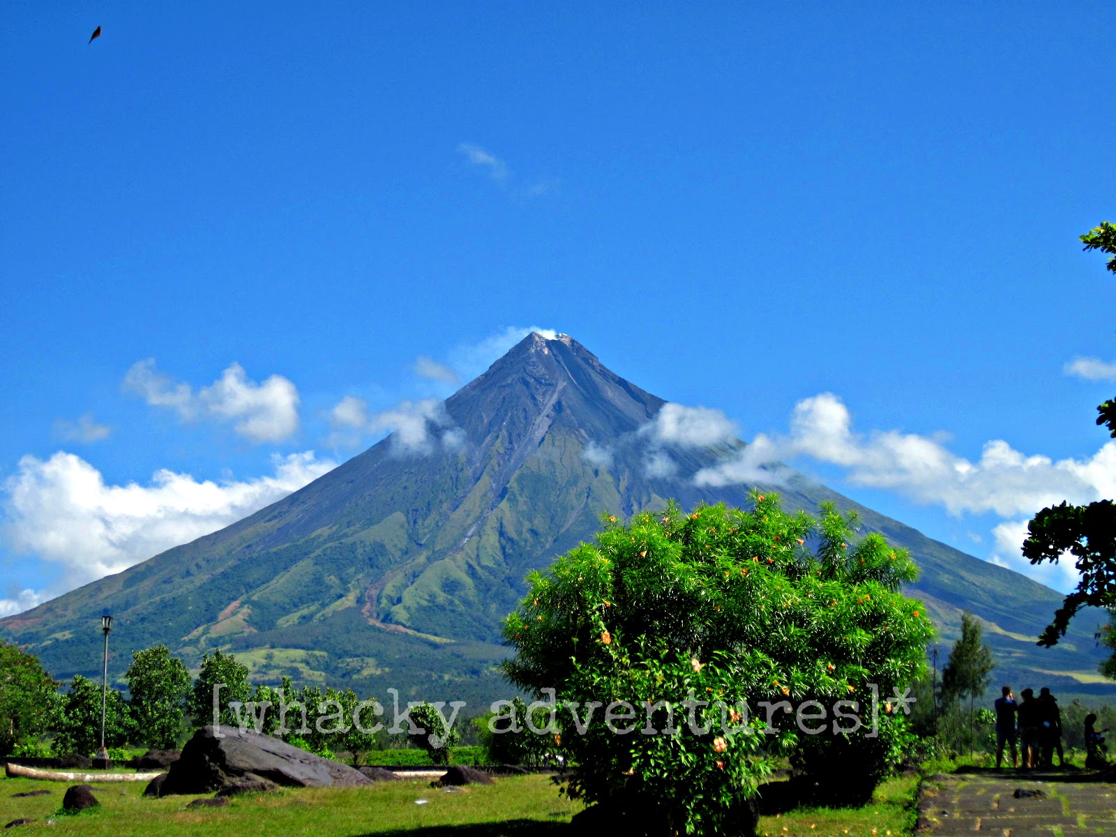 Whacky Adventures*: Bicol Express | Mayon Volcano from Cagsawa Ruins