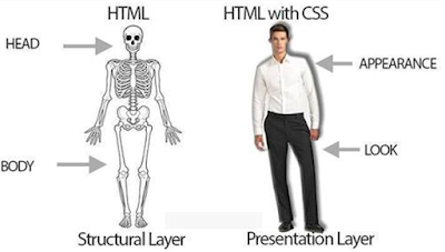 Tutorial Dasar Mengenal CSS | Tutorial Belajar Mengenal Dasar CSS