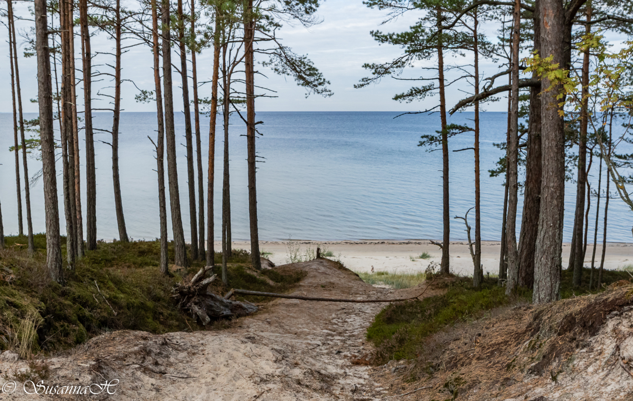 Luonnon luomaa: Ranta Jurmalasta pohjoiseen - Ragaciems