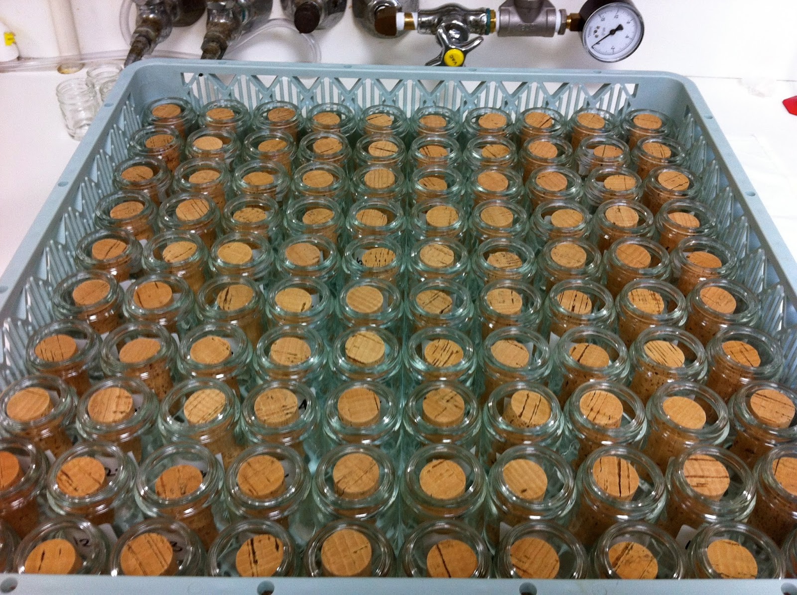 Fake Plastic Barrels: Soooo Much Cork