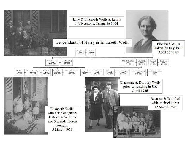 Rev. Leslie S. Macdougall Diaries: Wells family trees