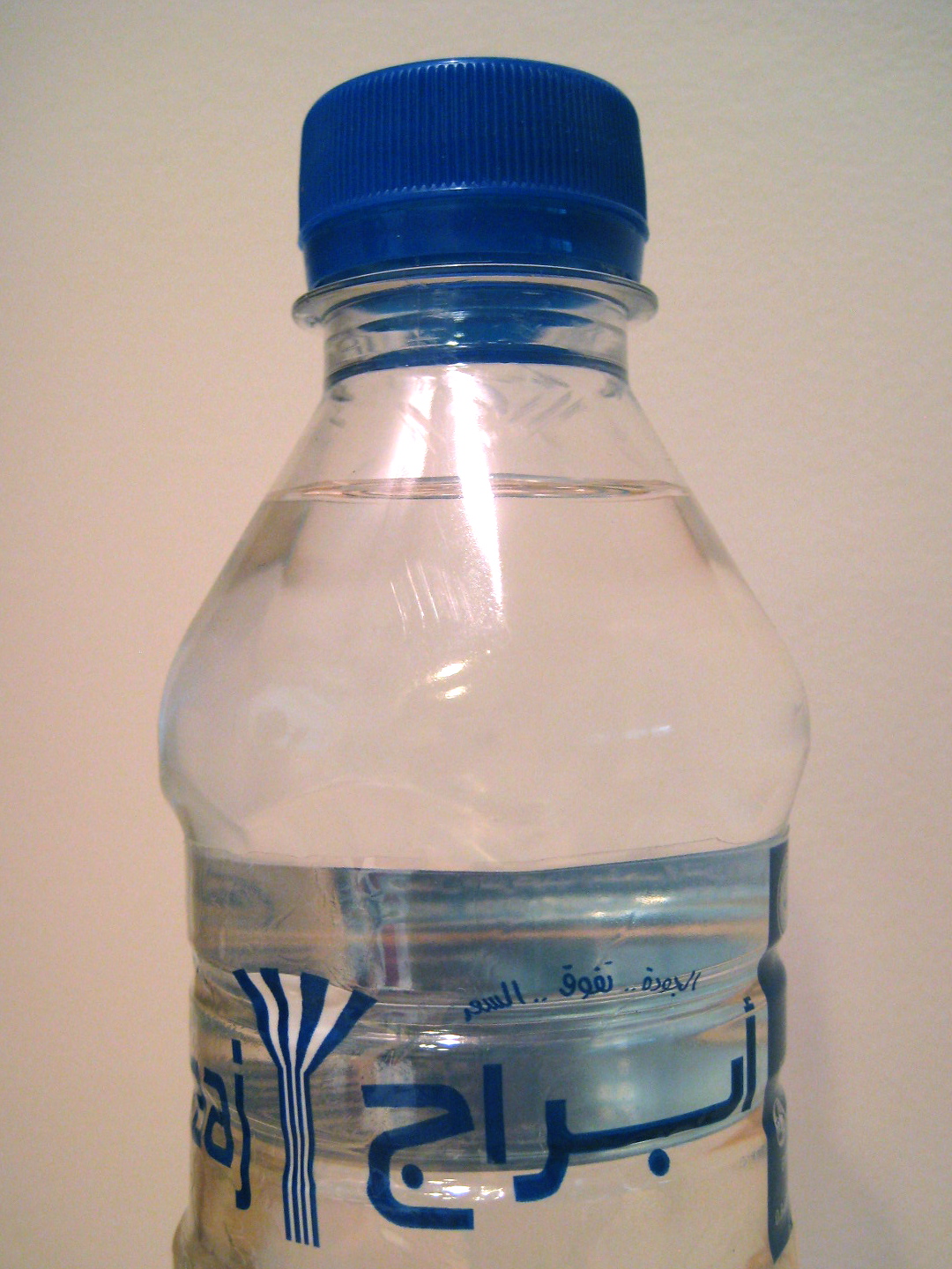 The Odysseia: "A (Saudi) haaaaandbag?" or, Vital Secrets of An Arabian ...